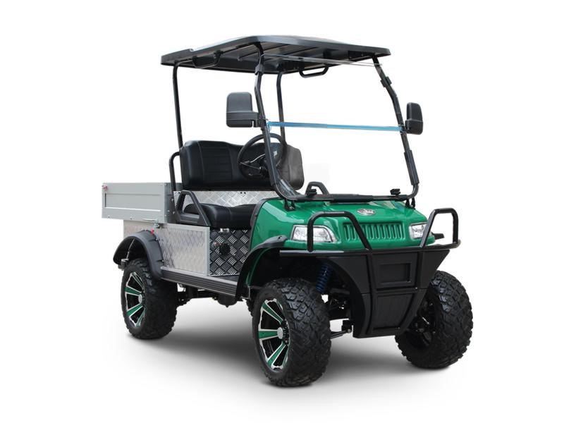 Evolution Turfman 800 Golf Cart | Golf Carts - Non Lifted