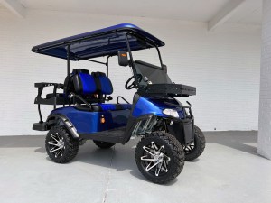 Tidewater Carts - New, Used and Custom Golf Carts