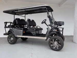 Tidewater Carts - New, Used and Custom Golf Carts